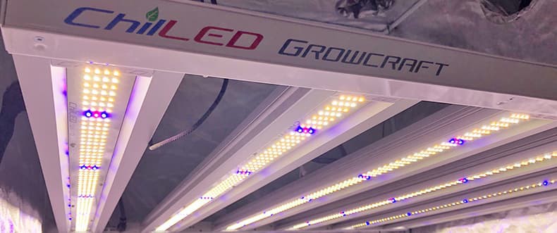 How to Set Up Your Indoor Grow Room | Sylvane