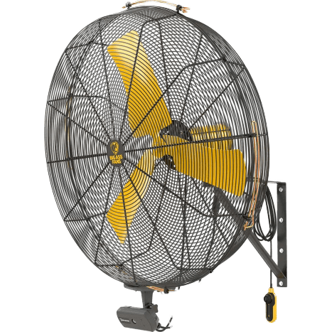 Big Ass Fans AirEye Wallmount Fan w/ AEOS Occupancy Sensor - 36-in