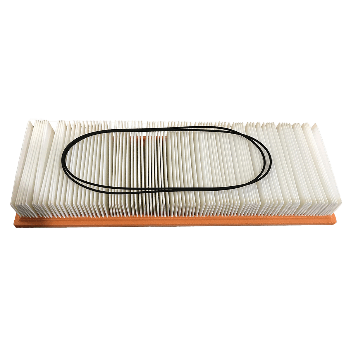 Nifisk Standard Polyester Panel Filter | Sylvane